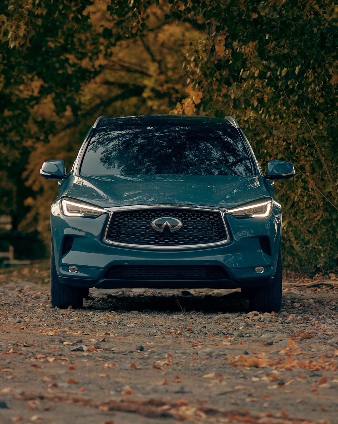 2024 INFINITI QX50 コンパクトSUV | INFINITI グローバル